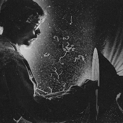 David Lory – Tagged "Bowls" – Museum for Art in Wood