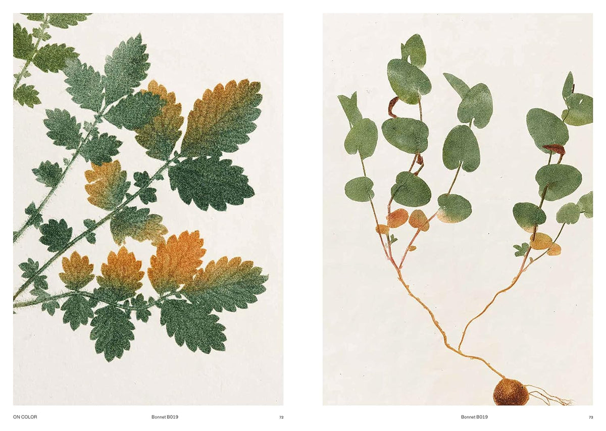 Capturing Nature: 150 Years of Nature Printing by Mathew Zucker and Pi ...